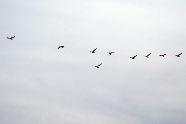 Sunday in Latvia will be quite unfriendly | BB.LV