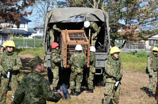 In Japan, police are allowed to use firearms against bears | BB.LV