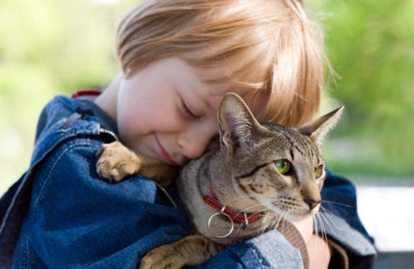 Not Just Purring: 7 Signs That You Are Taking Great Care of Your Cat ...