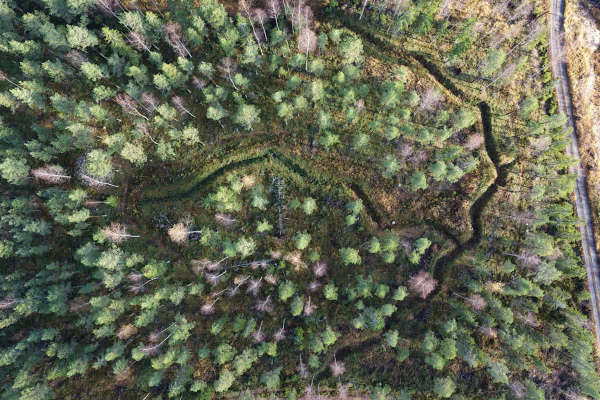 Finland Aims to Achieve Carbon Neutrality by 2035 | BB.LV