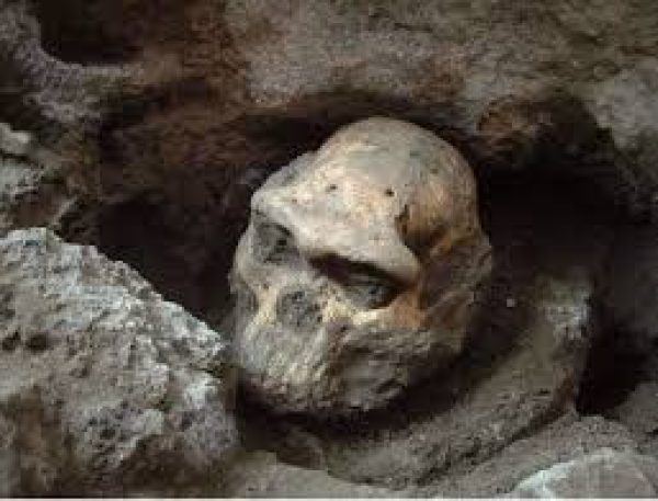 Scientists Shocked: Ancient Humans Had Smaller Brains than Modern ...