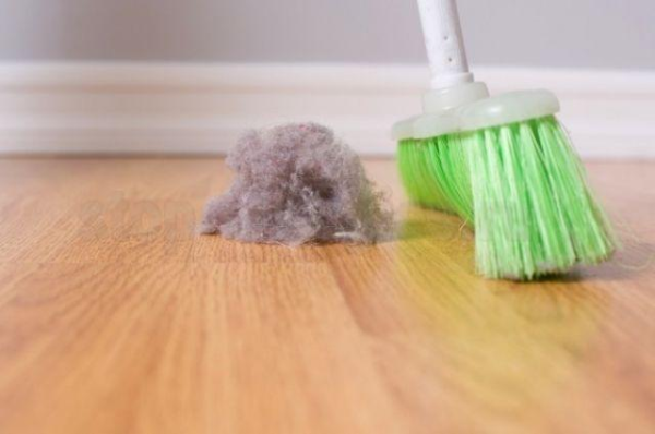 Dangerous Neighbors: Doctor Explains the Threat of Household Dust Mites ...