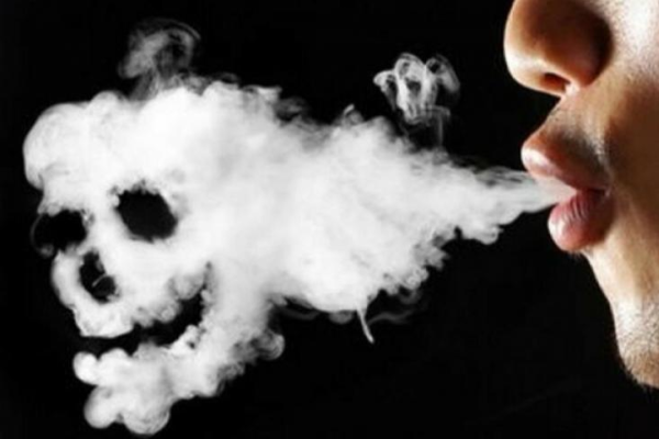 The Impact of Tobacco Smoke on Pets: Research Findings | BB.LV