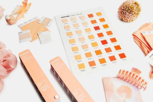 "Peach Fuzz": Color of the Year 2024 Announced | BB.LV