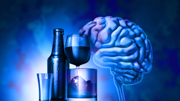 What Alcohol Actually Does to Blood and Body Cells | BB.LV