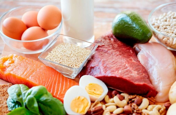 What are the differences between plant and animal proteins? | BB.LV
