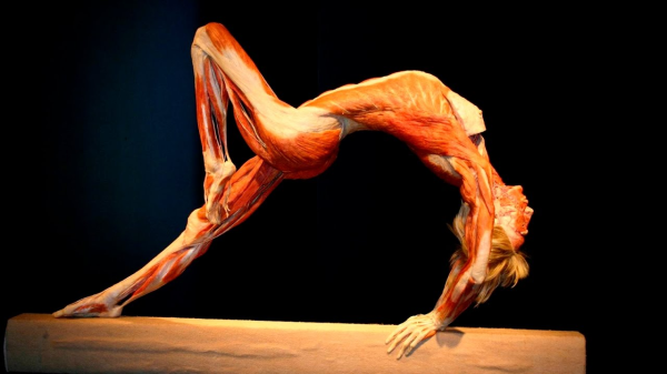 The Mysteries of the Human Body That Science Has Yet to Unravel | BB.LV