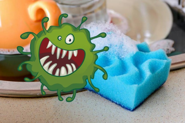 What microorganisms inhabit kitchen sponges? | BB.LV