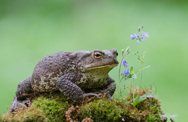 The Latvian National Museum of Nature will hold a Family Day dedicated ...