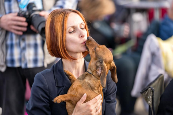 How to Choose the Right Dog | BB.LV