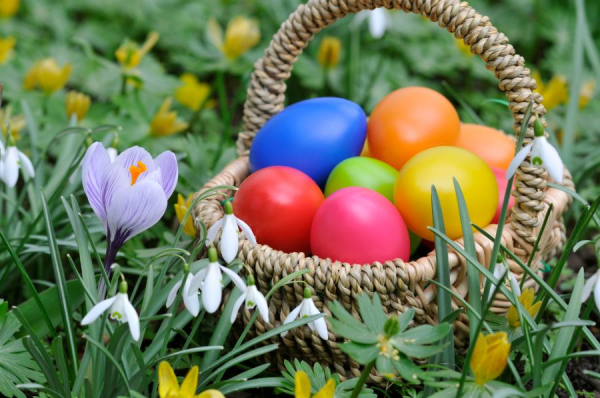 What natural dyes are suitable for coloring eggs for Easter? | BB.LV